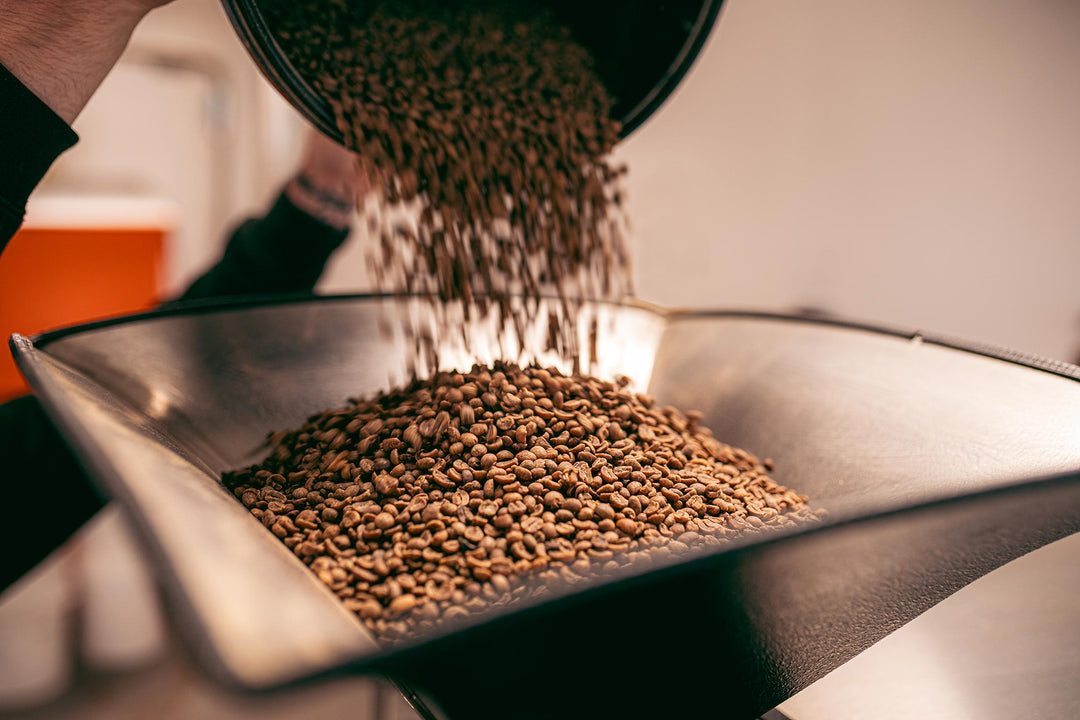 Our Roastery - Coffee Roasters Cambridge – Silver Oak Coffee
