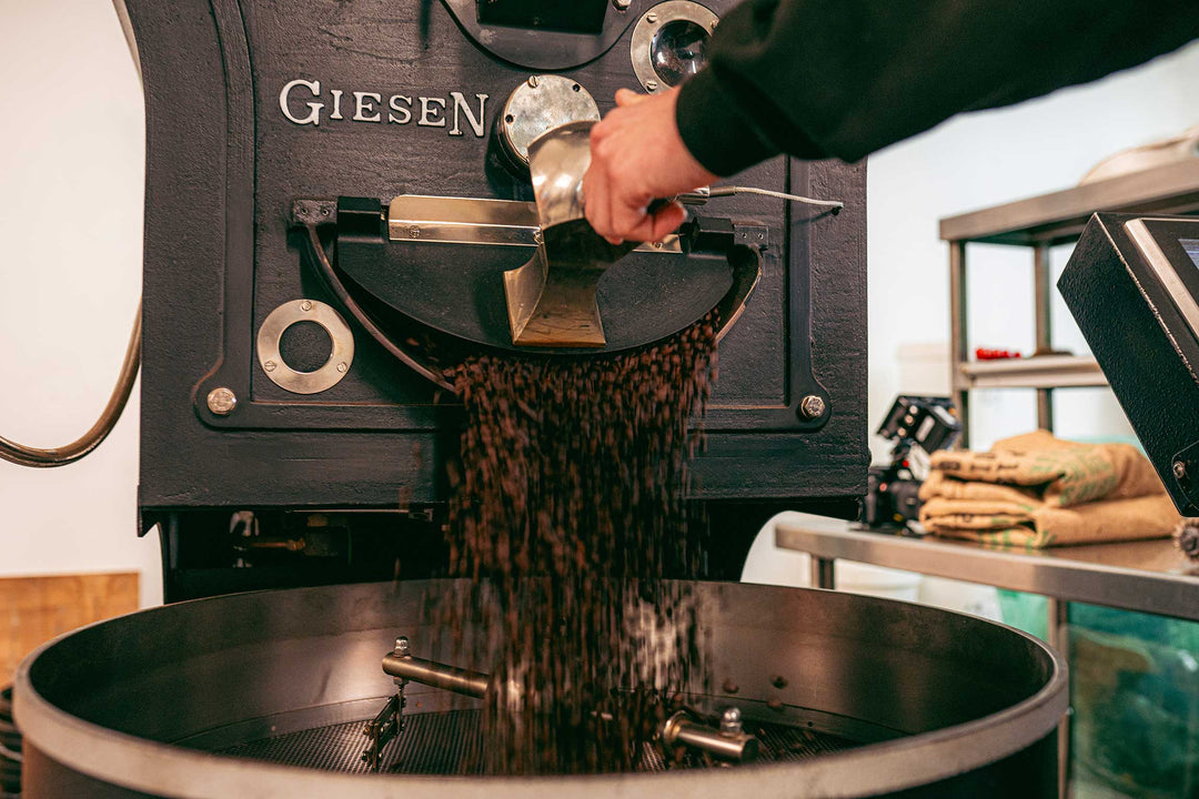 Our Roastery - Coffee Roasters Cambridge – Silver Oak Coffee